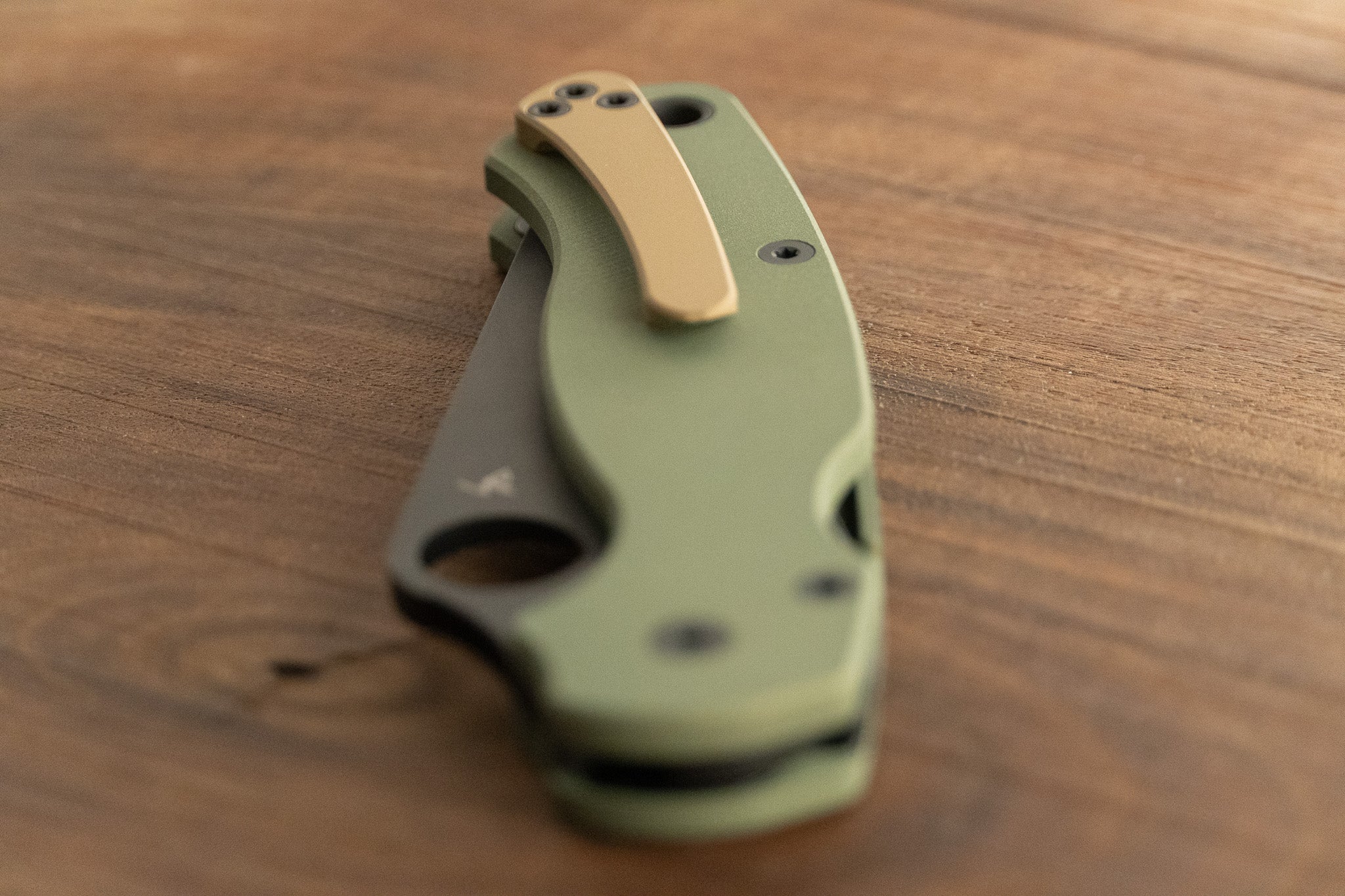 Spyderco Paramilitary 2 Titanium Pocket Clips | RGT – Ripp's Garage ...